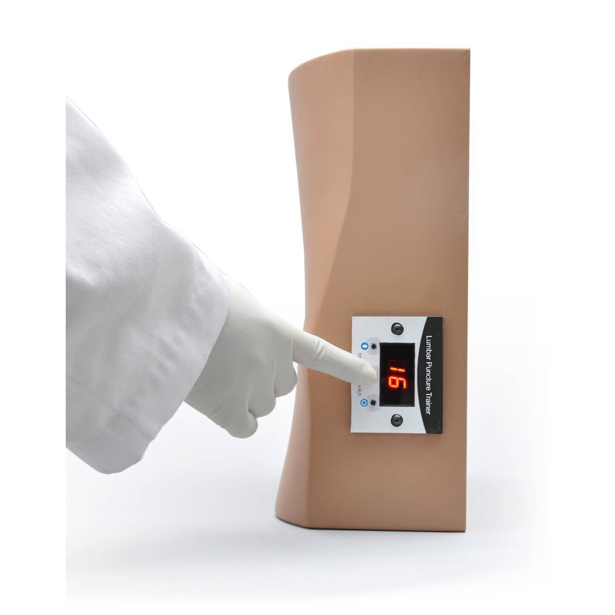 Lumbar Puncture Trainer - SEM Trainers