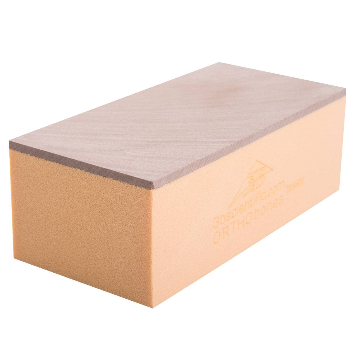 ORTHO - SEM Trainers