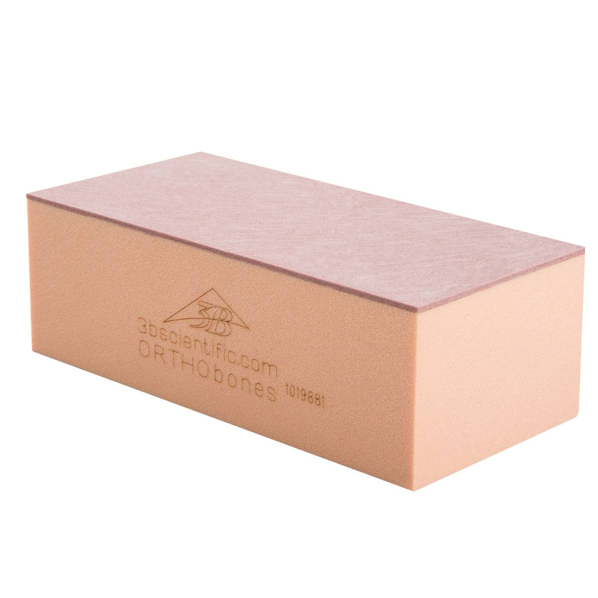 ORTHO - SEM Trainers