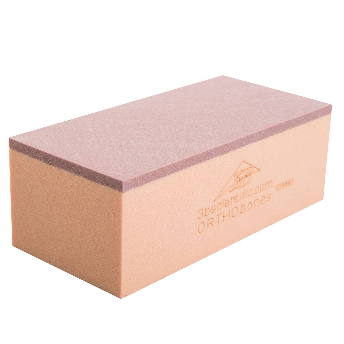 ORTHO - SEM Trainers