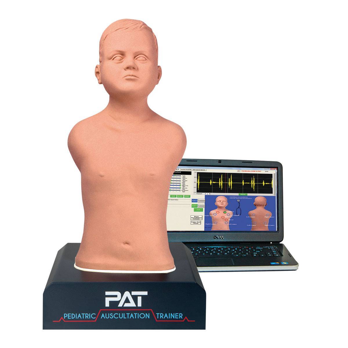 PAT® - Pediatric Auscultation Trainer/Manikin - Light Skin - Cardionics ...