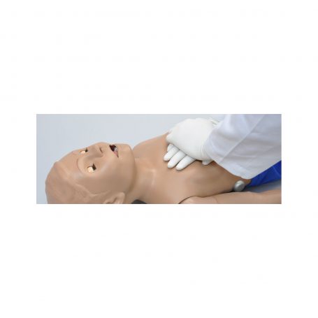 Child CPR Torso, 5 -year old - SEM Trainers