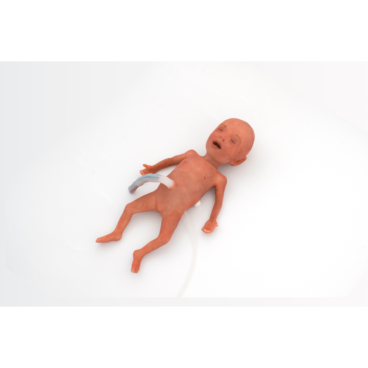 ALS Manikin Newborn | Neonatal Human Patient Simulator | NENAsim Infant ...