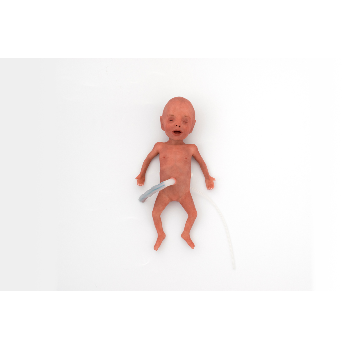 ALS Manikin Newborn | Neonatal Human Patient Simulator | NENAsim Infant ...