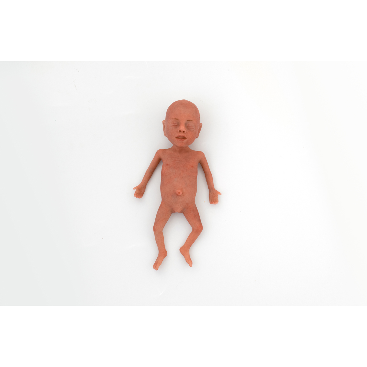 ALS Manikin Newborn | Neonatal Human Patient Simulator | NENAsim Infant ...