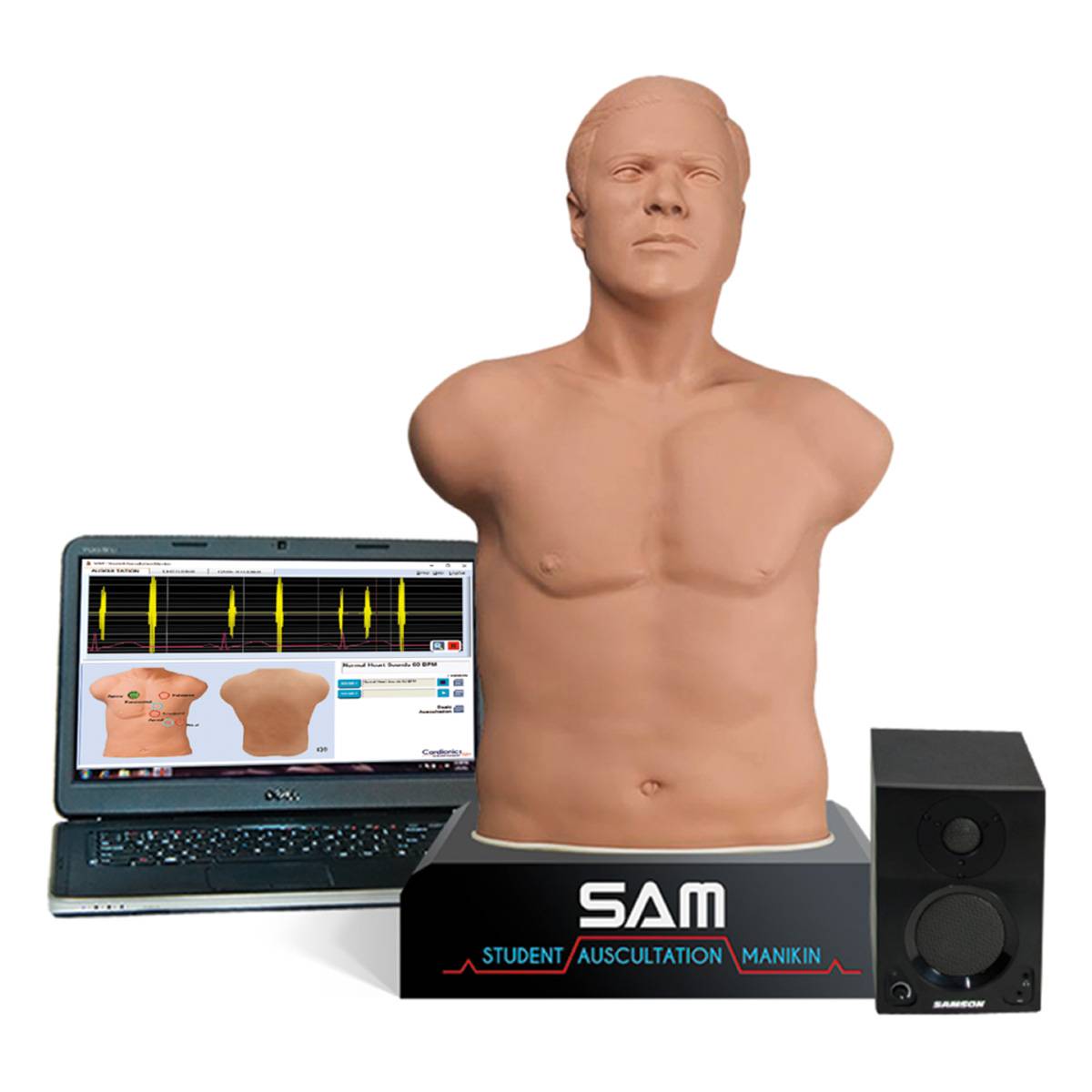 SAM 3G® Student Auscultation Manikin - Auscultation Simulator - SAM 3G ...