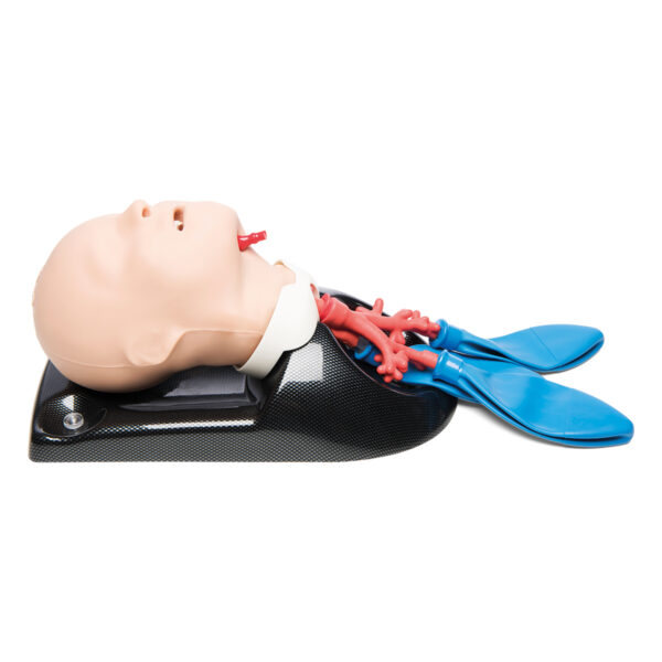 Child Intubation Head - SEM Trainers