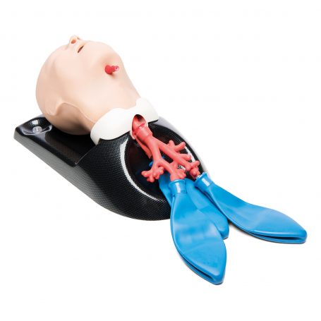 Child Intubation Head | 1014201 [W44594] | SEM Trainers