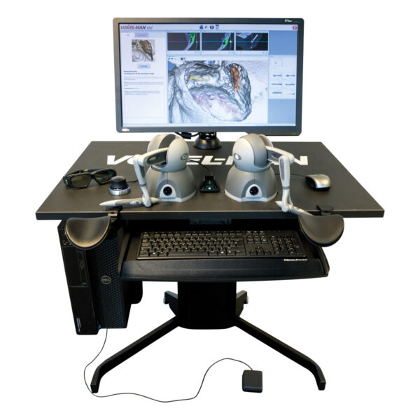 Ear Examination Simulator - SEM Trainers