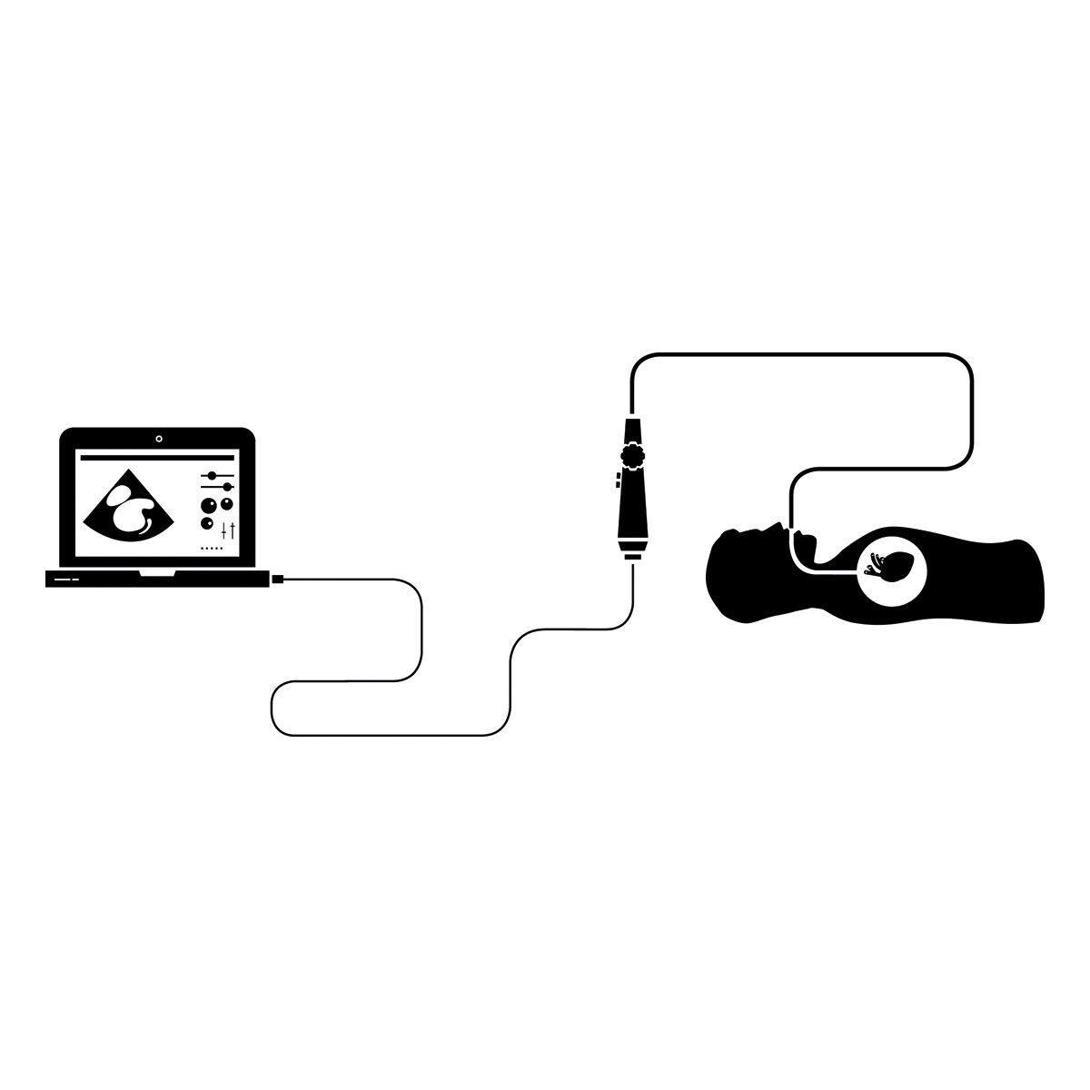 MrTEEmothy® Standard Transesophageal Echocardiography Simulator - SEM ...