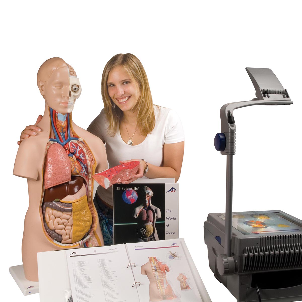 Human Torso Models Archives - SEM Trainers