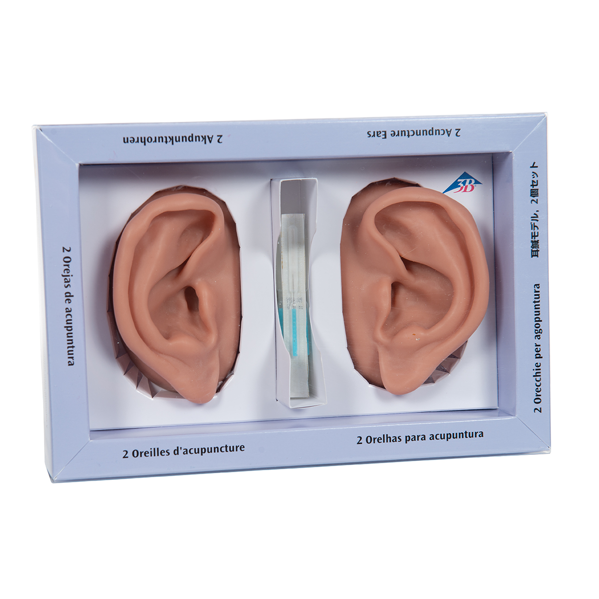 Ear Models Archives - SEM Trainers