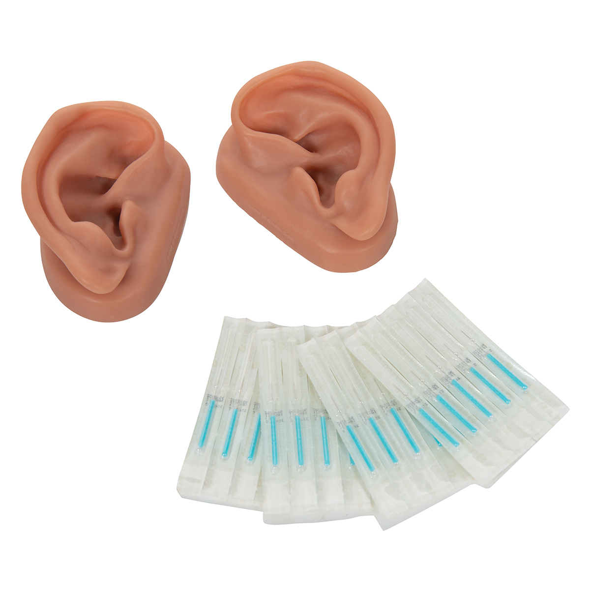Acupuncture Ears, Set for 10 Students - SEM Trainers