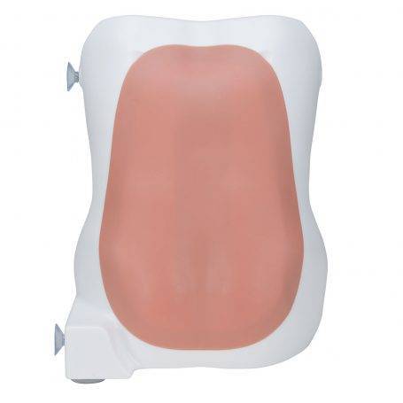 Spinal Injection Simulator - SEM Trainers