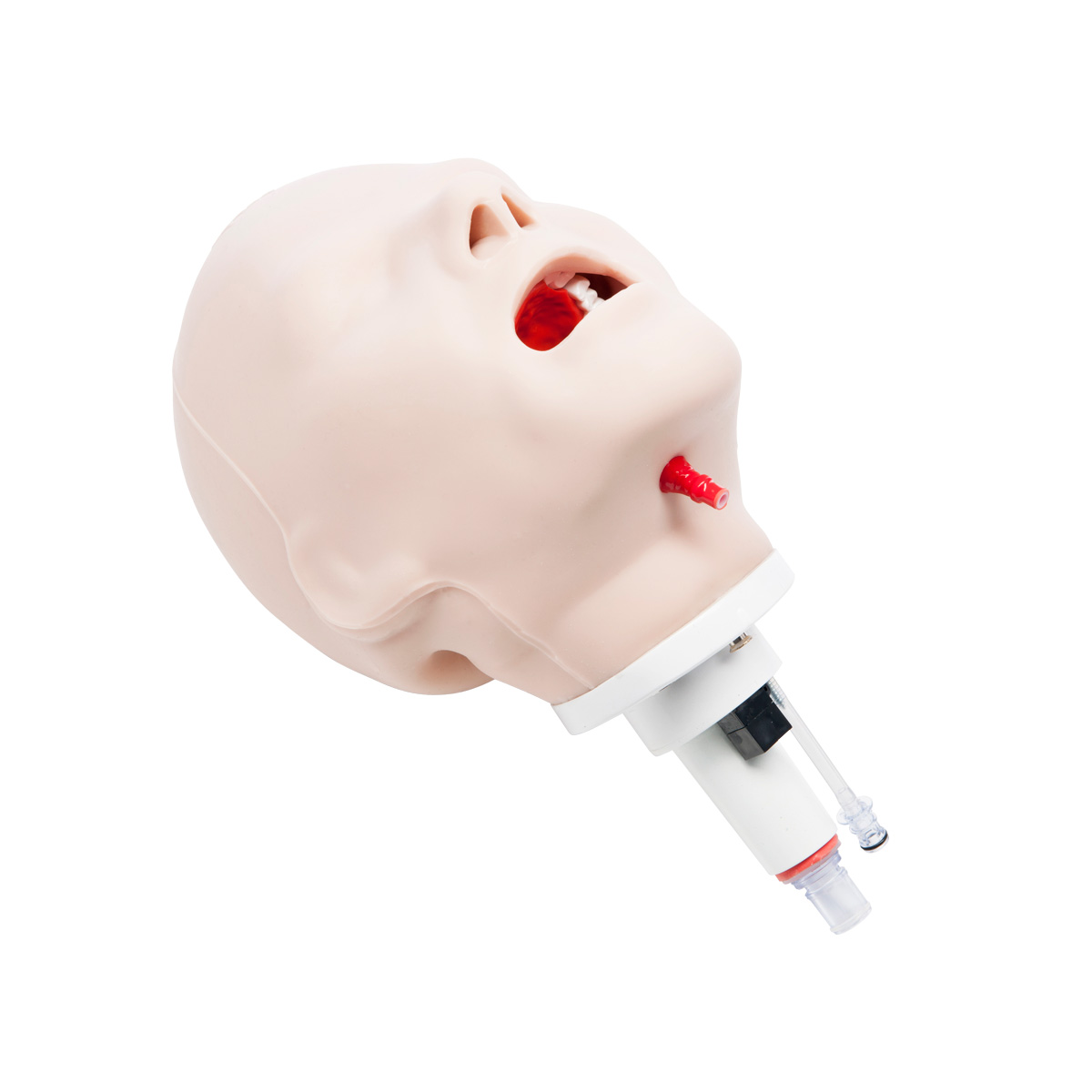 Intubation Head for CPRLillyPRO Training Manikin | 1019711 [P71/AH ...