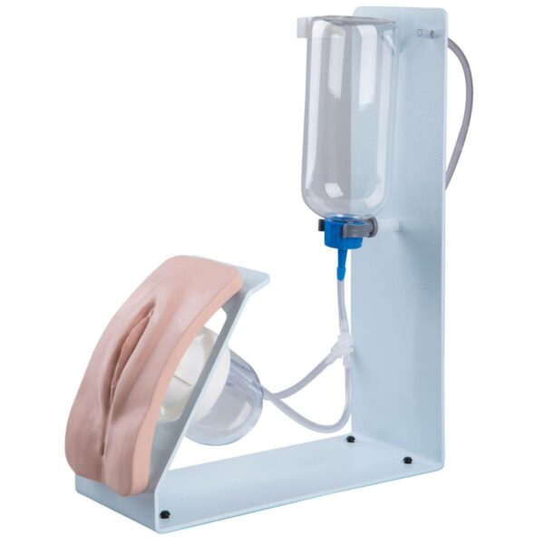 Catheterization Simulator, male - SEM Trainers
