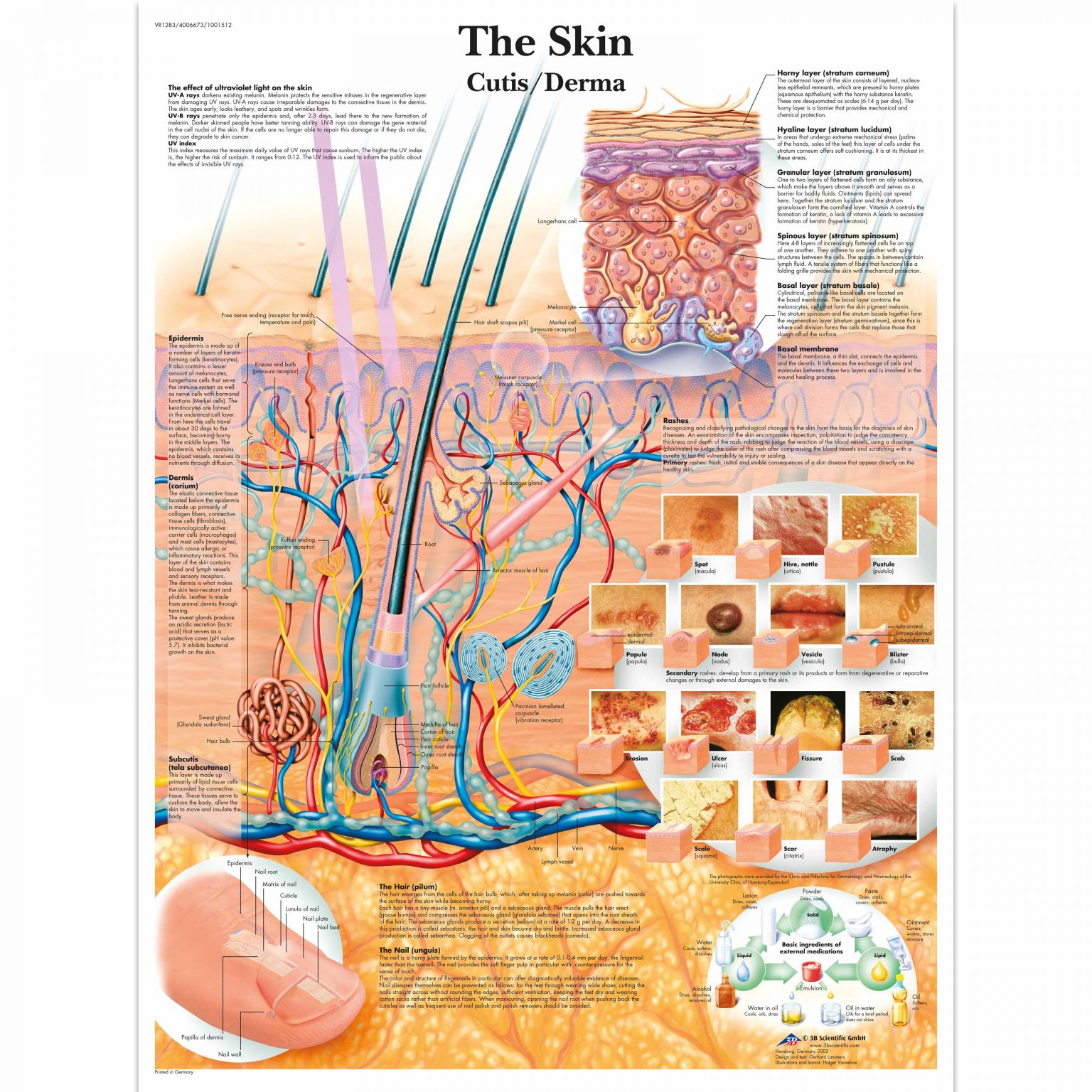 Decubitus Ulcers Chart - SEM Trainers