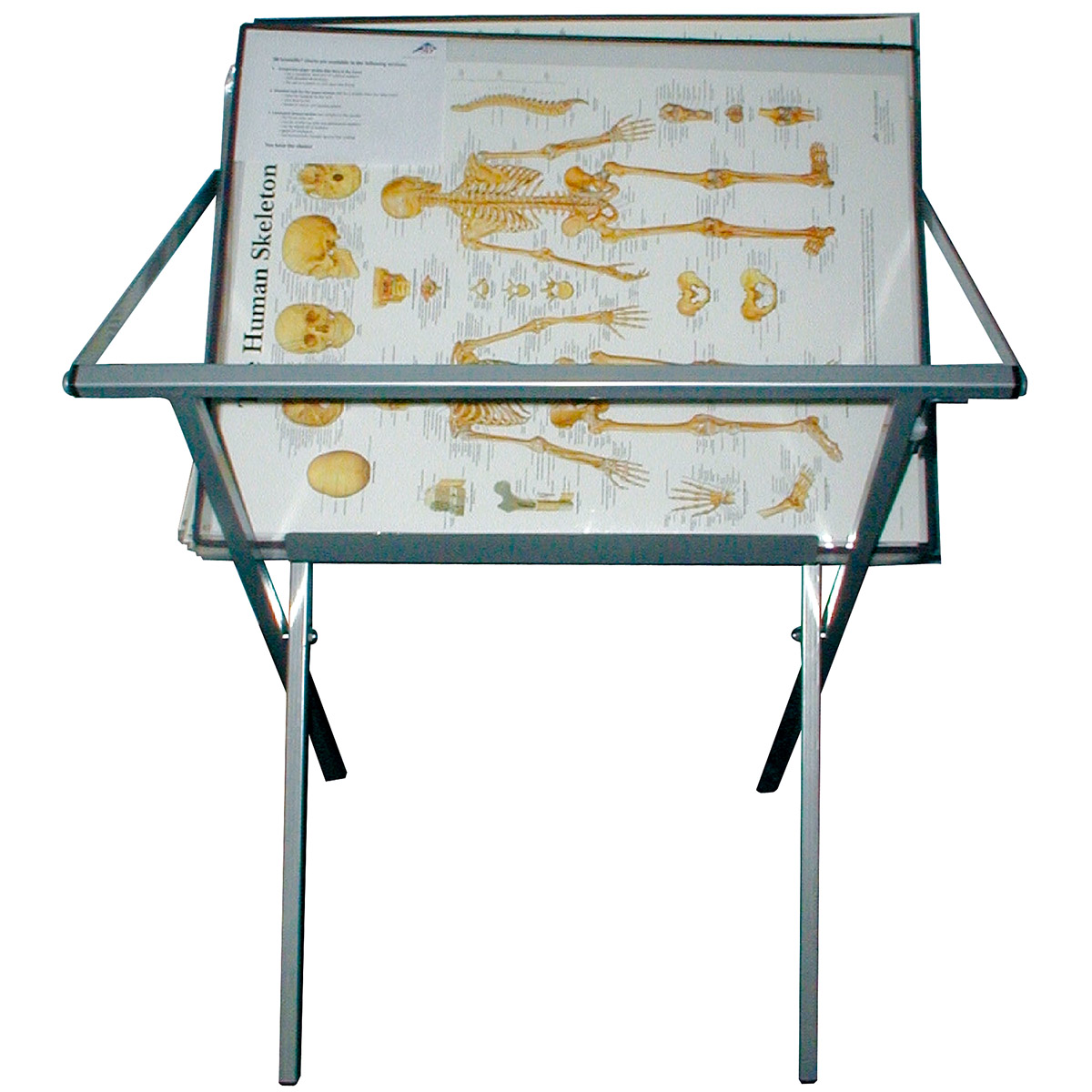 Chart Display Stand - SEM Trainers
