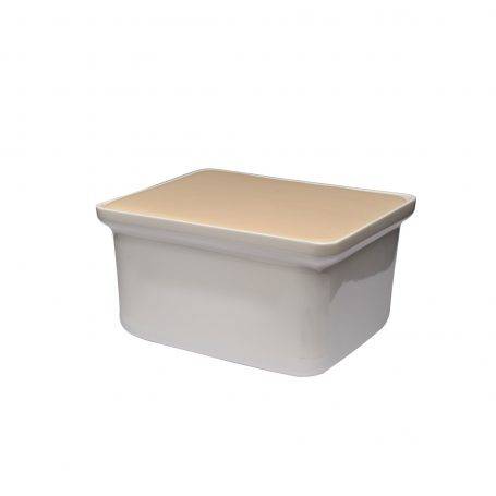 Intramuscular Injection Sites Poster - SEM Trainers