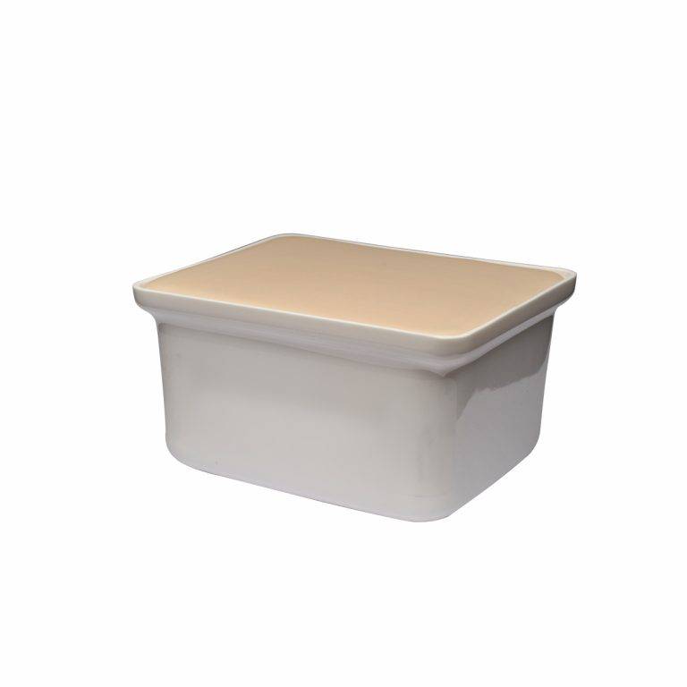 Intradermal Injection Simulator - SEM Trainers