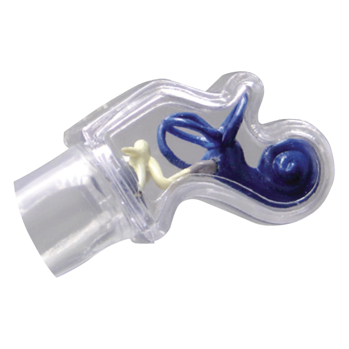 Clear Ear Model - SEM Trainers