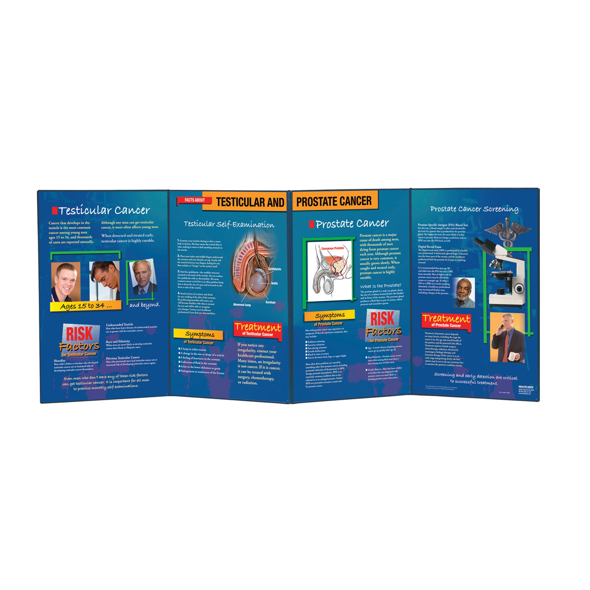 Facts About Testicular and Prostate Cancer Display - SEM Trainers