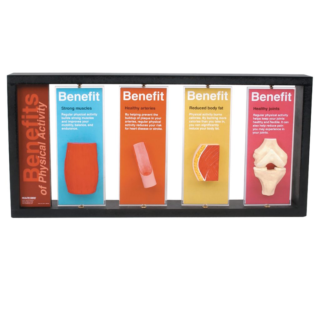 Preventing Cardiovascular Disease Folding Display - SEM Trainers