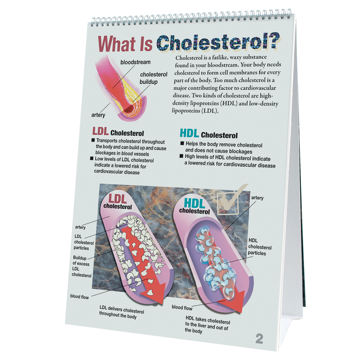 Cholesterol Flip Chart - SEM Trainers