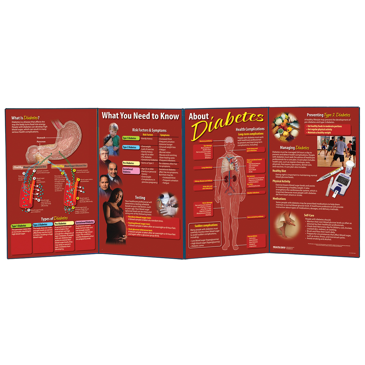 What You Need to Know About Diabetes Folding Display - SEM Trainers