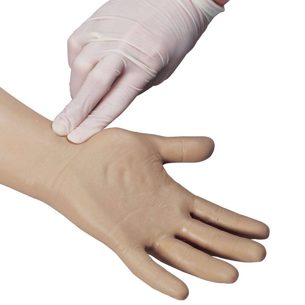 Blood Pressure Simulator With IPod® Technology - SEM Trainers