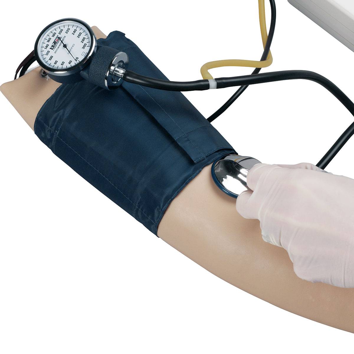 Blood Pressure Arm with External Speaker System with Embedded Speaker ...