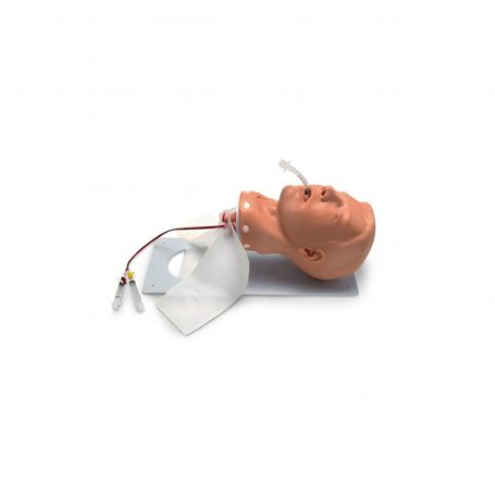 Advanced Airway Larry Trainer Head | 1020961 | SEM Trainers