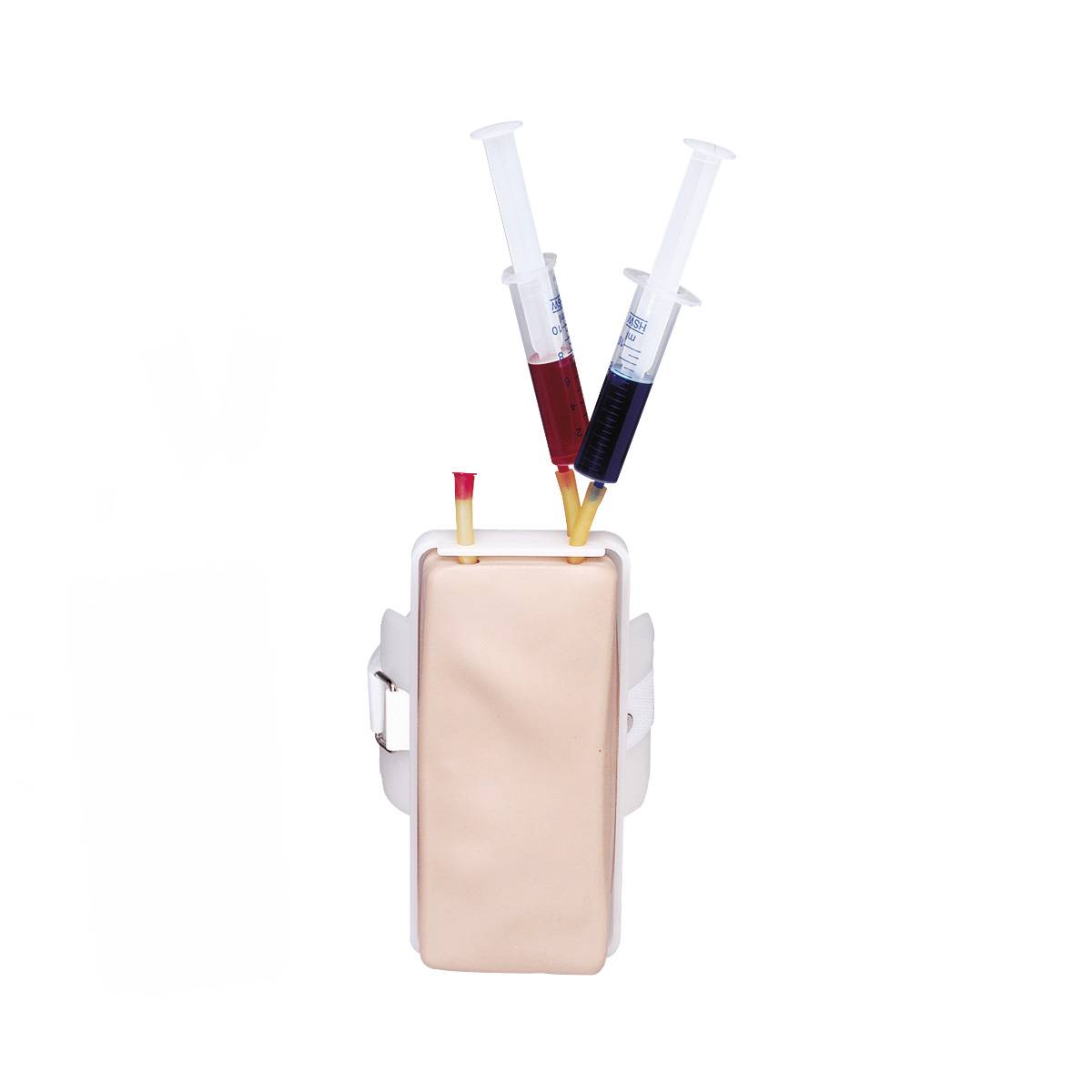 Nasco Life/form® Venatech IV arm trainer- White | LF01162U - SEM Trainers