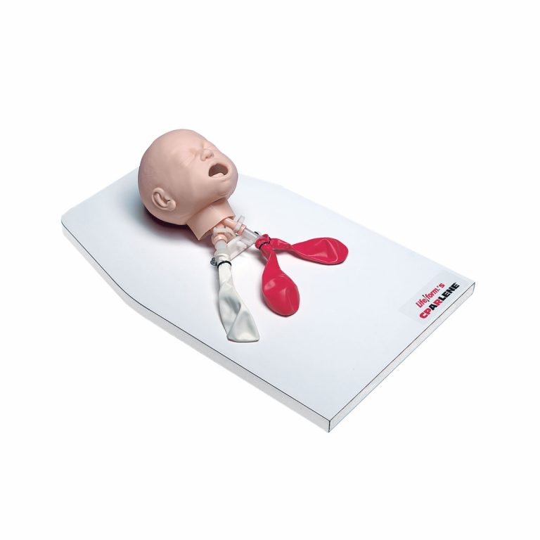 Infant Intubation Head | 1017245 [W44593] | SEM Trainers