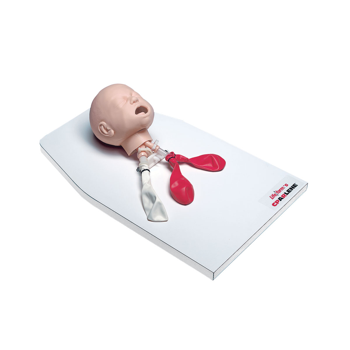 Infant Airway Trainer with Stand | 1017954 [W44667] | SEM Trainers
