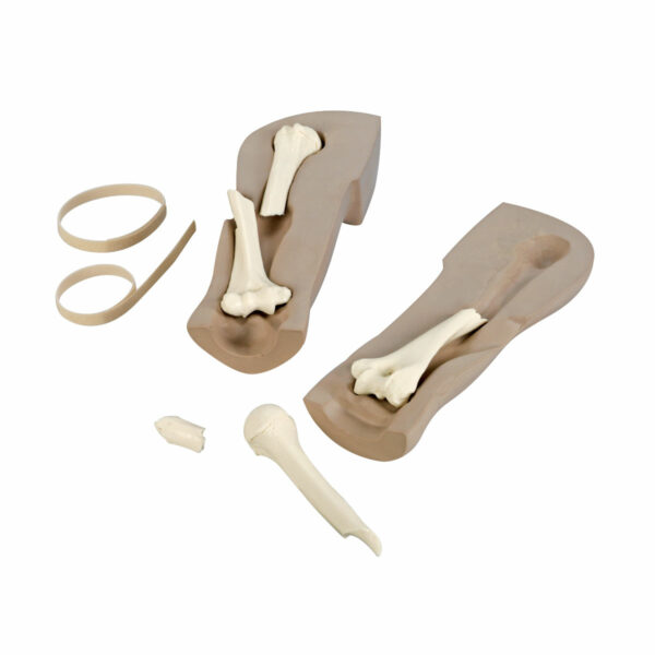 Basic Life Support Simulator BASIC - SEM Trainers