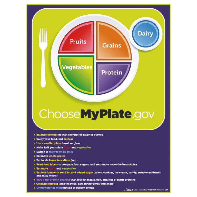 MyPlate Poster with Key Phrases - SEM Trainers