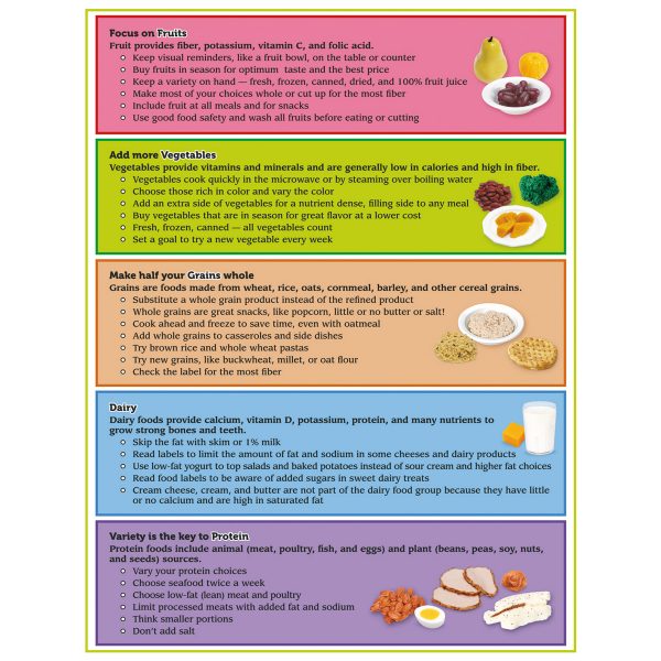 Complete MyPlate Kit - SEM Trainers