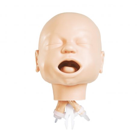 Infant Intubation Head | 1017245 [W44593] | SEM Trainers