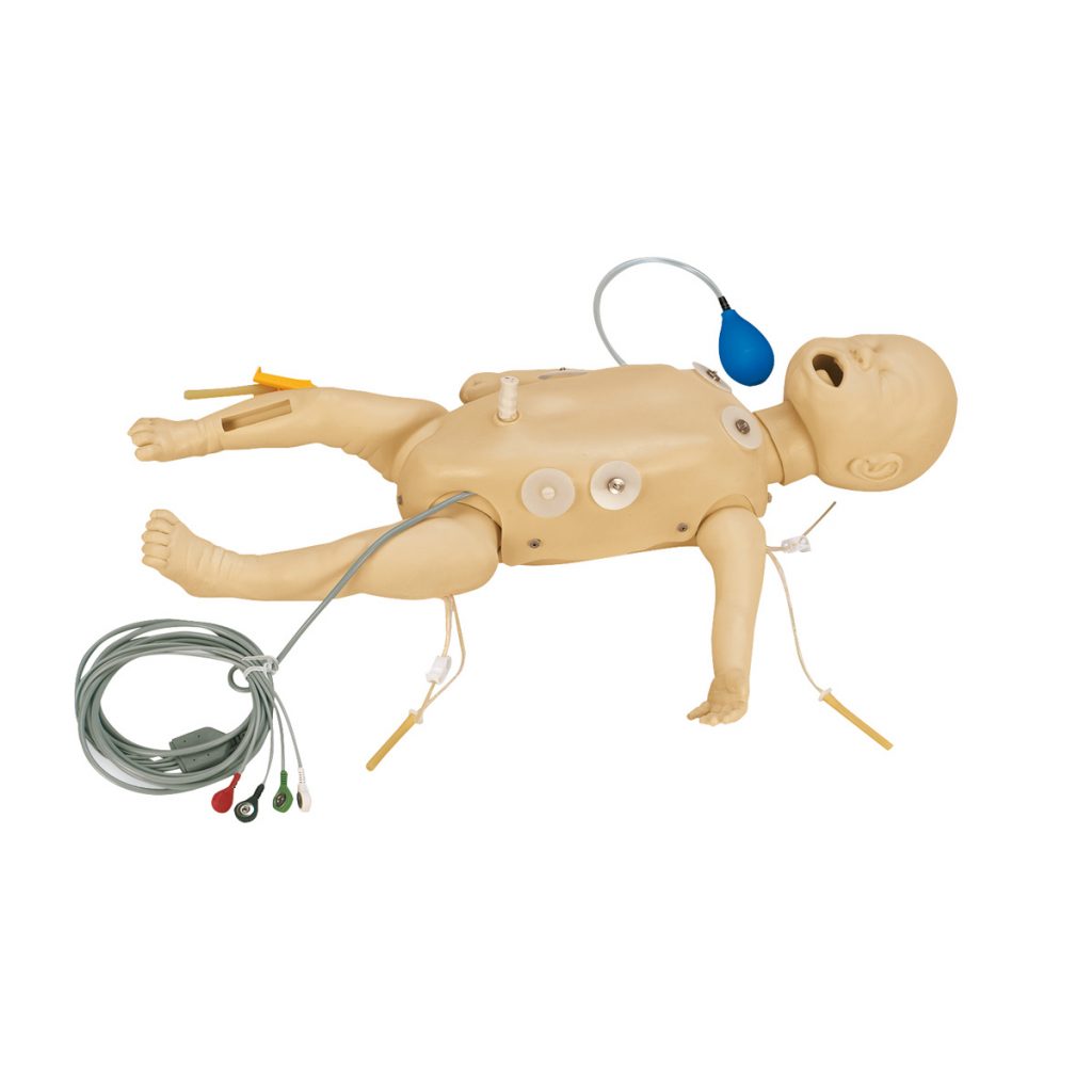 Advanced Child Airway Management Trainer | 1005698 [W44442] | SEM Trainers