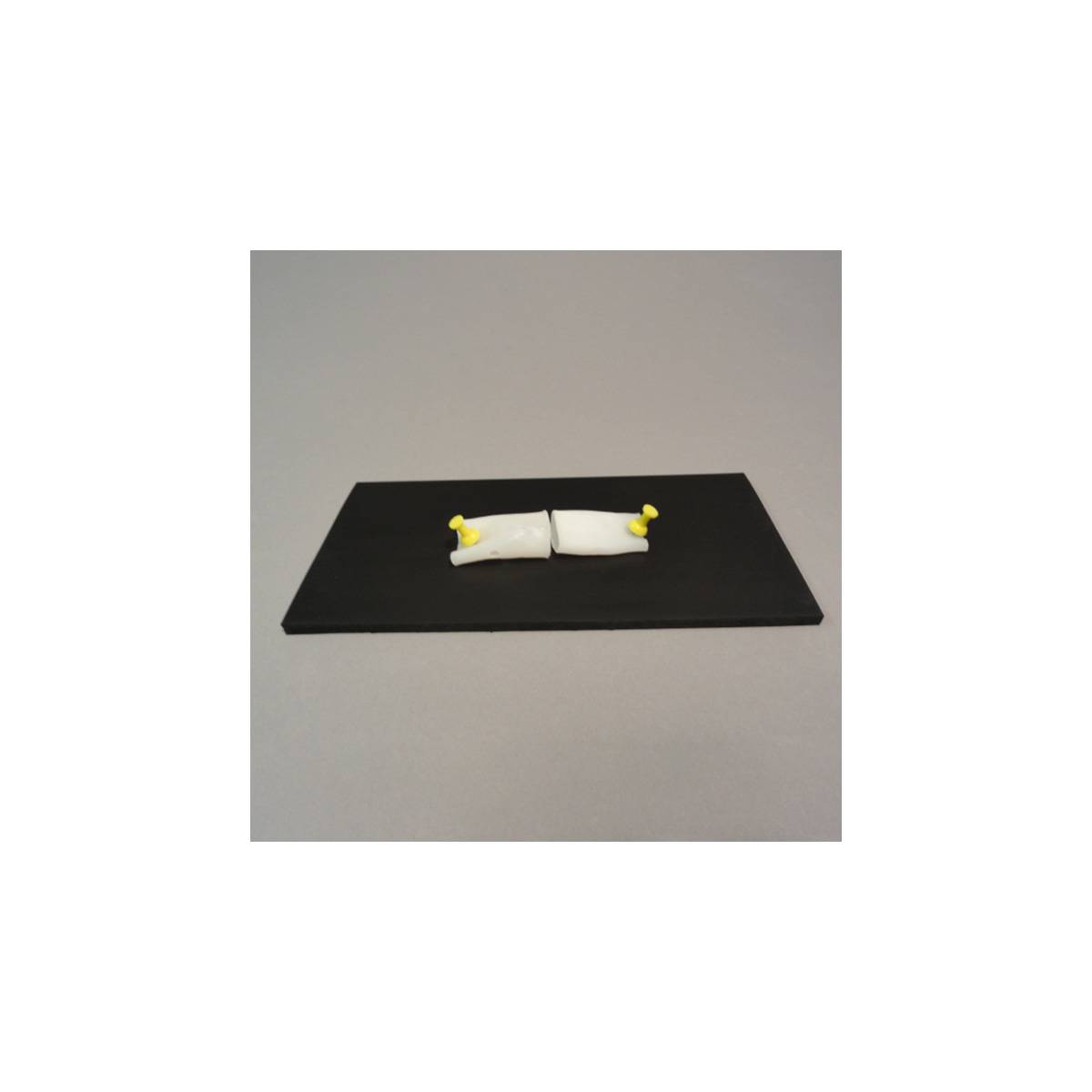 Specimen mounting pad - SEM Trainers