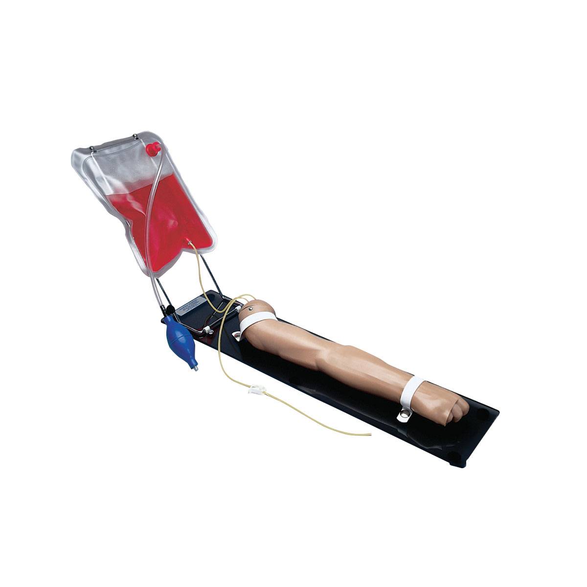 Five Year Injection Training Arm - SEM Trainers