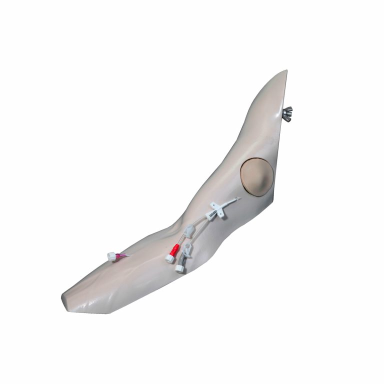 Chest Tube Manikin | SEM Trainers | 1017946 [W44673]
