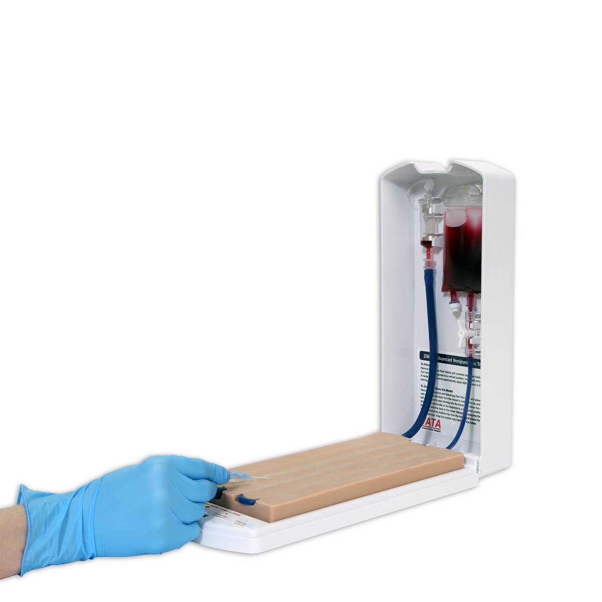 Advanced Four-Vein Venipuncture Training Aid™ - Dermalike II™ Latex ...
