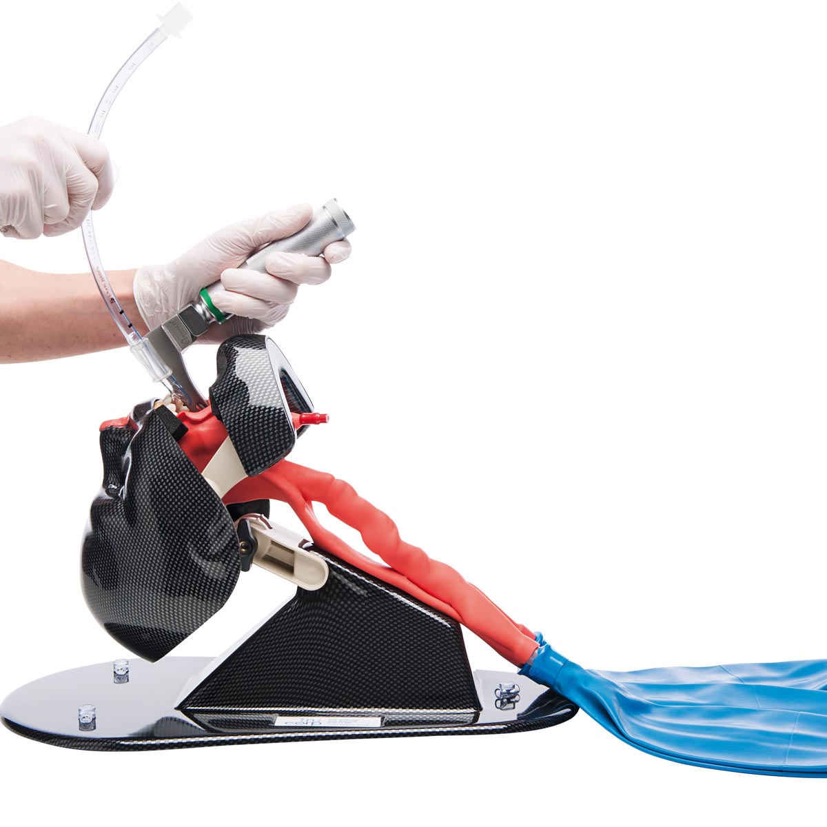 AirSim Multi | Airway Management Manikin - Adult | 1015519 [W47402 ...