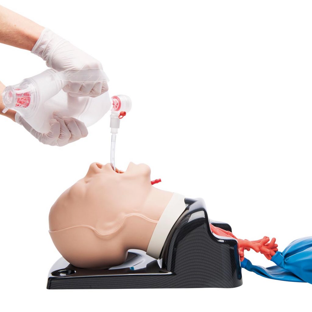 Advanced Airway Larry Trainer Head, Stand | 1019249 [W44739] | SEM Trainers