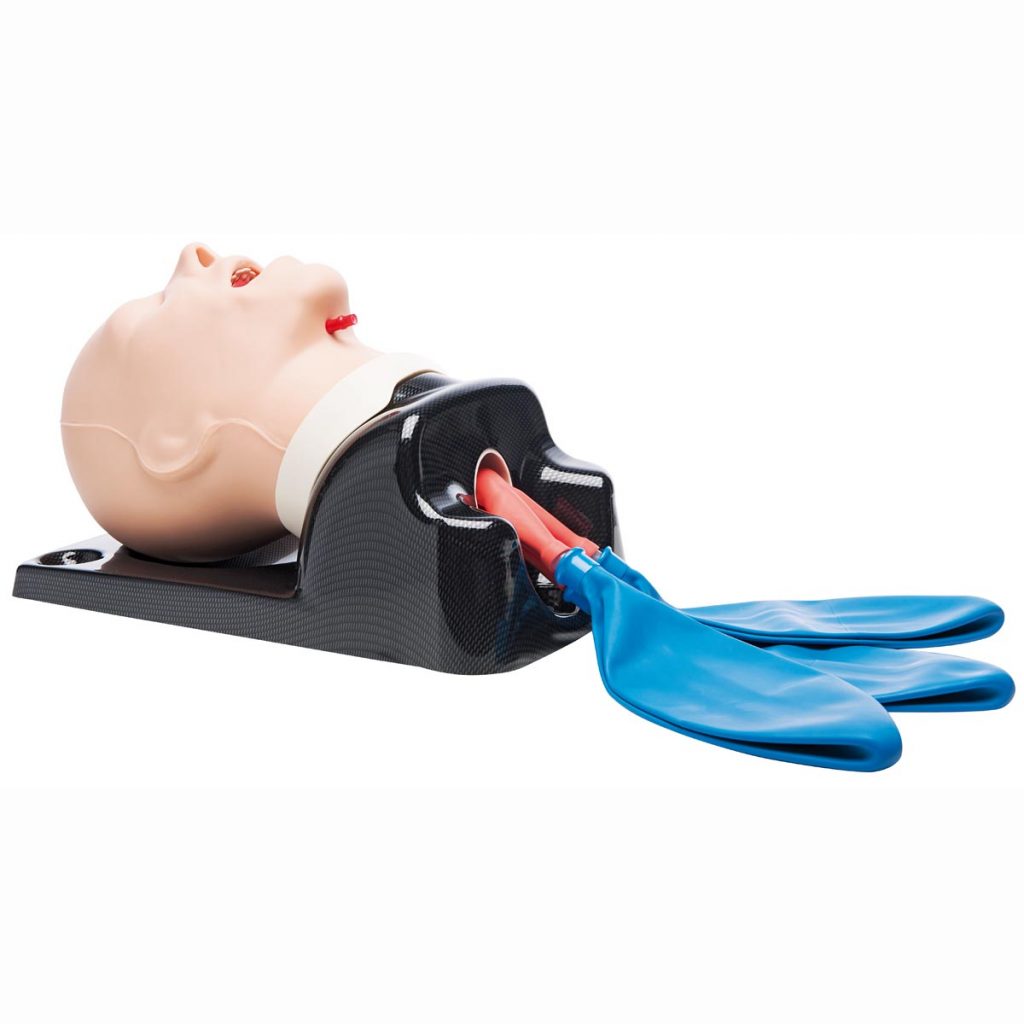 Advanced Airway Larry Trainer Head | 1020961 | SEM Trainers