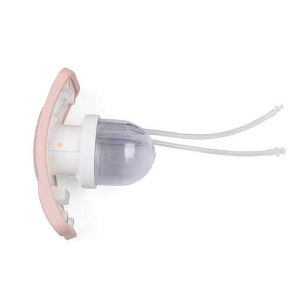 Life/form® Male & Female Catheter Model Set - SEM Trainers