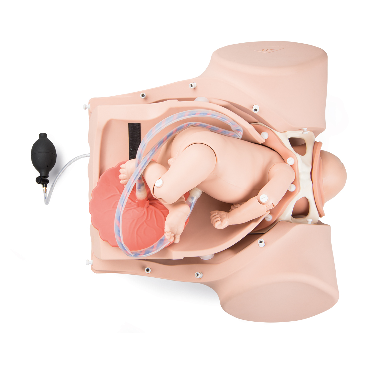 Obstetrical Manikins and Child Birthing Simulators | Advanced Gynecology Model - For Enhancing ...