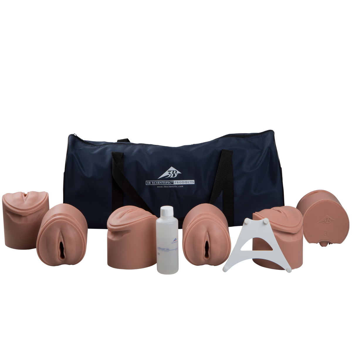 3B Birthing Stages Trainer - SEM Trainers